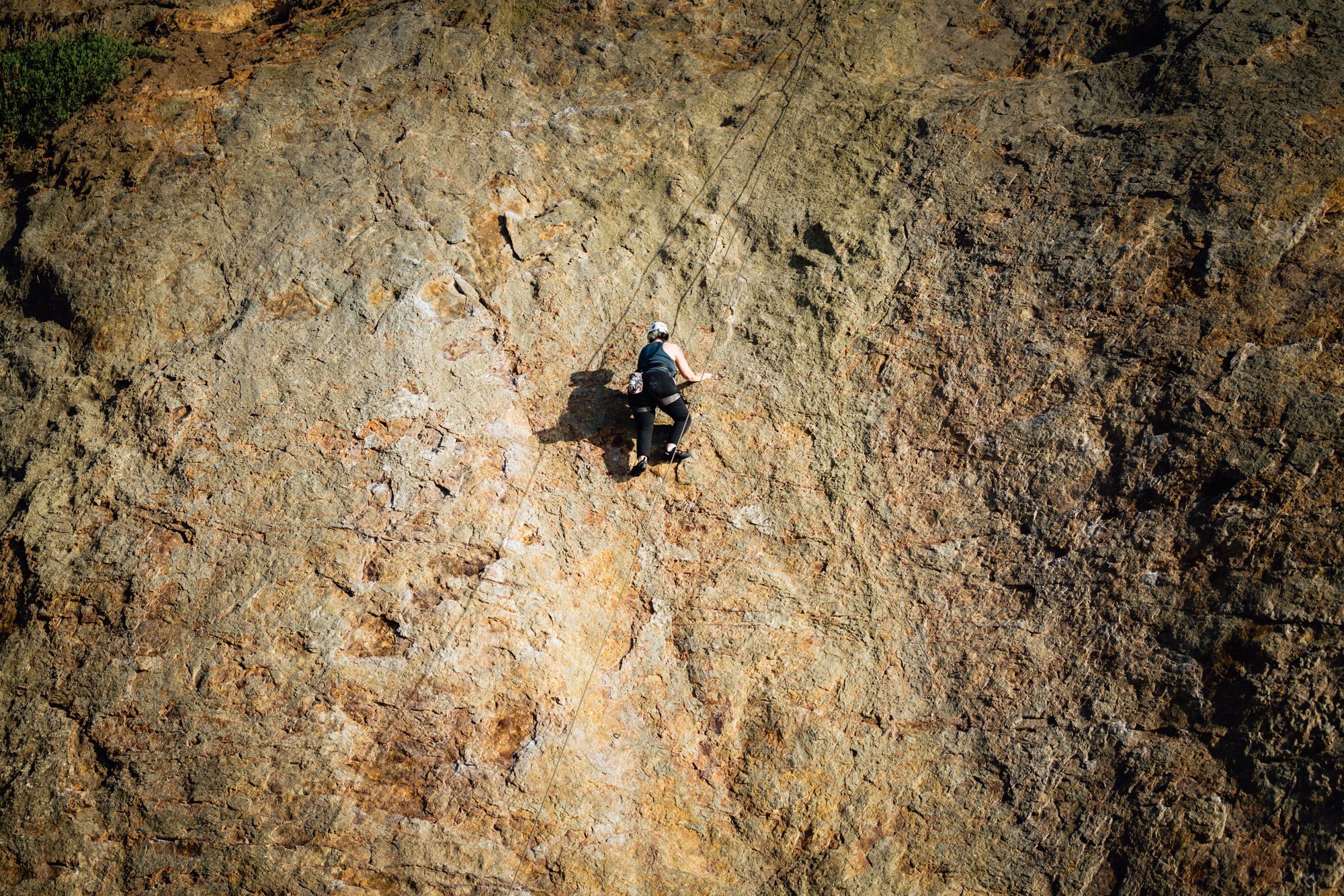 Sonya Wilson | The Fifty Most Interesting Athletes